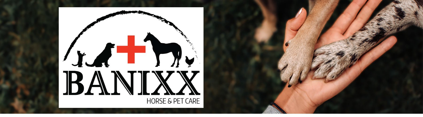 Banixx Horse and Pet Care Products at Jeffers