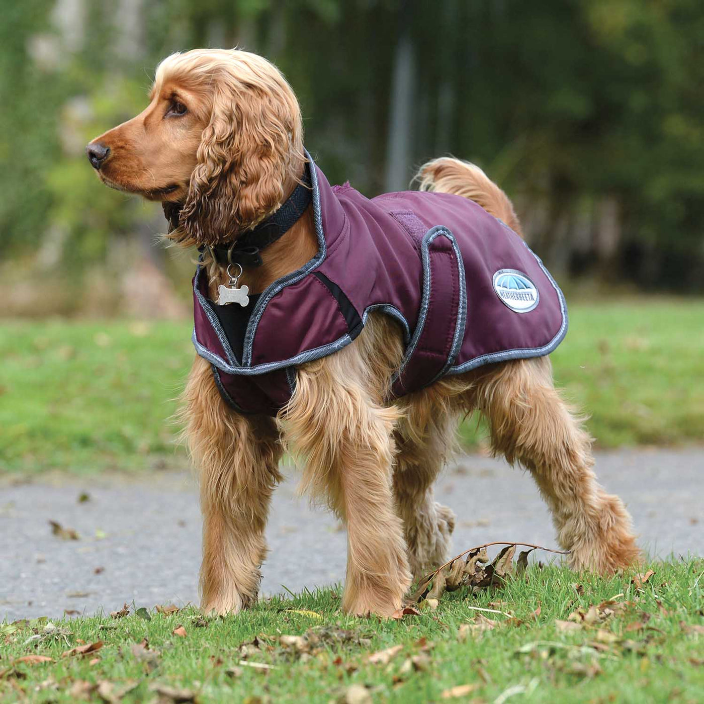 WeatherBeeta ComFITec Windbreaker Free Deluxe Dog Coats, Maroon/Gray ...