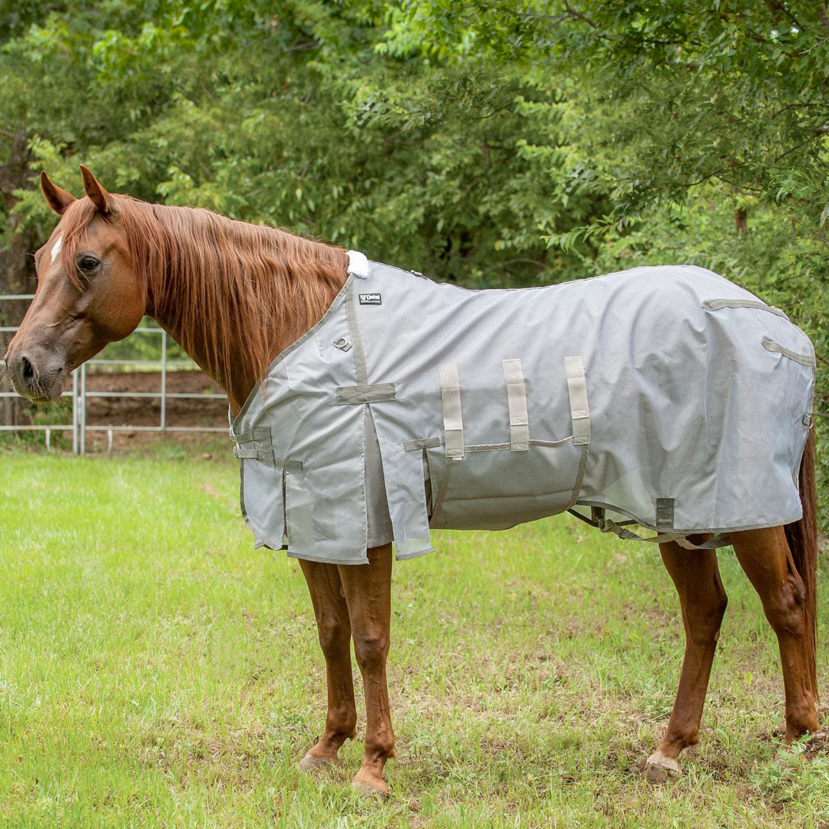 Lightweight Fly Sheet for Horses, Multiple Colors — Jeffers