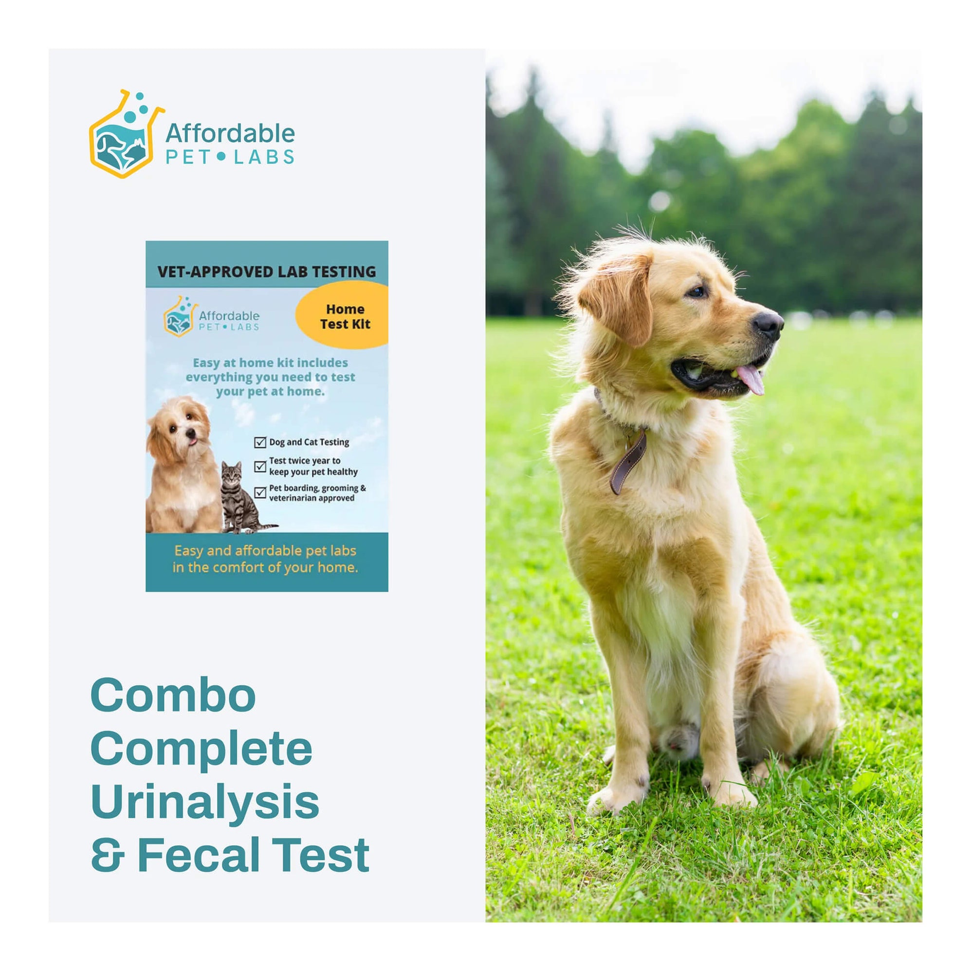 Combo Complete Urinalysis & Fecal Test For Dogs, Easy Home Kit — Jeffers
