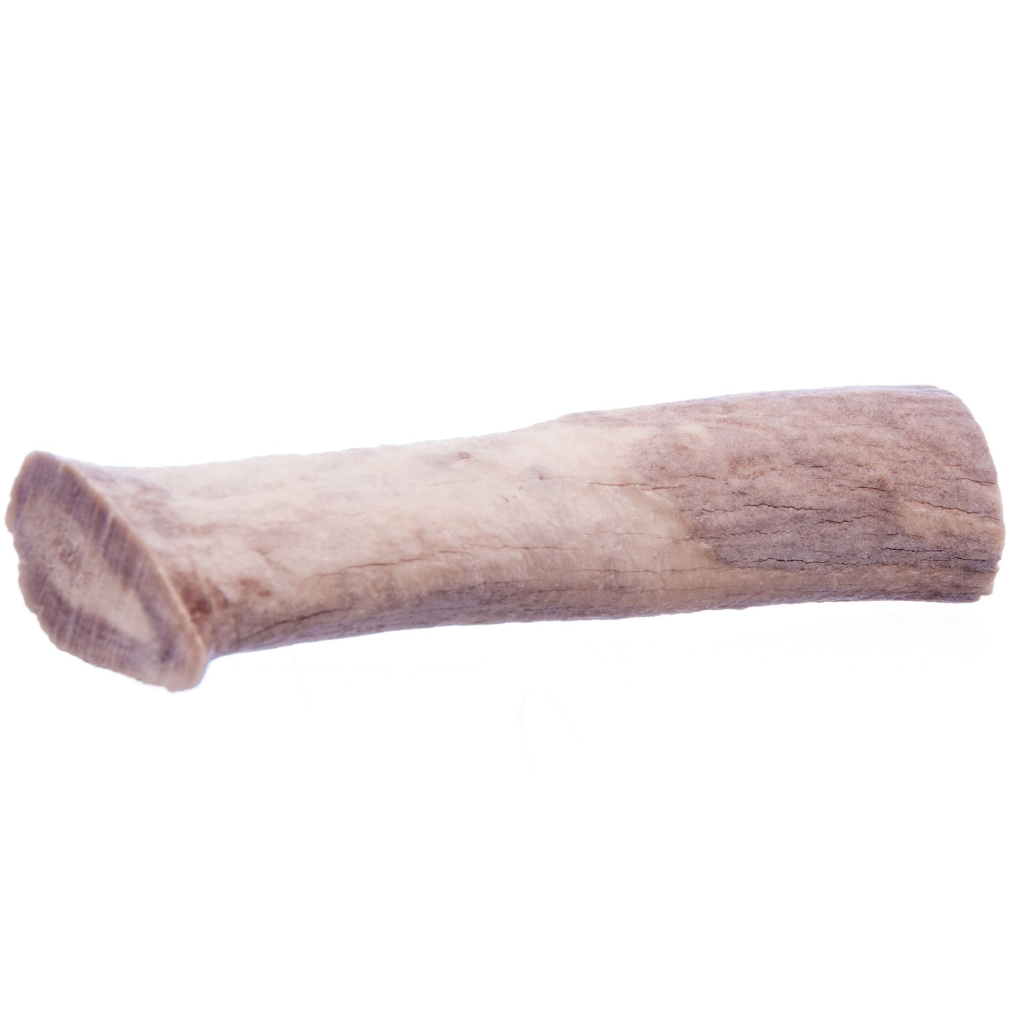 QT Dog Antlerz Natural Dog Chews — Jeffers