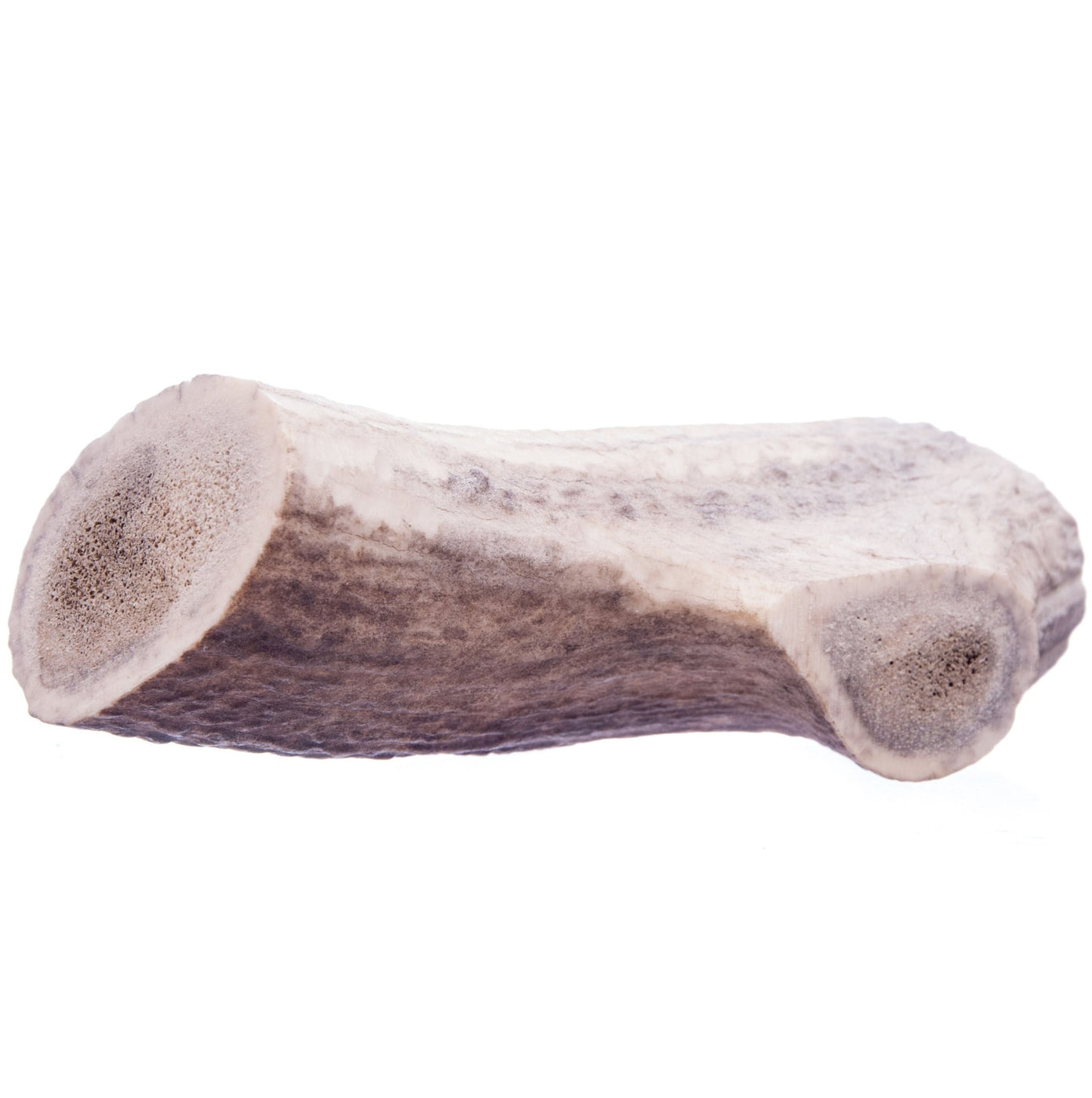 QT Dog Antlerz Natural Dog Chews — Jeffers