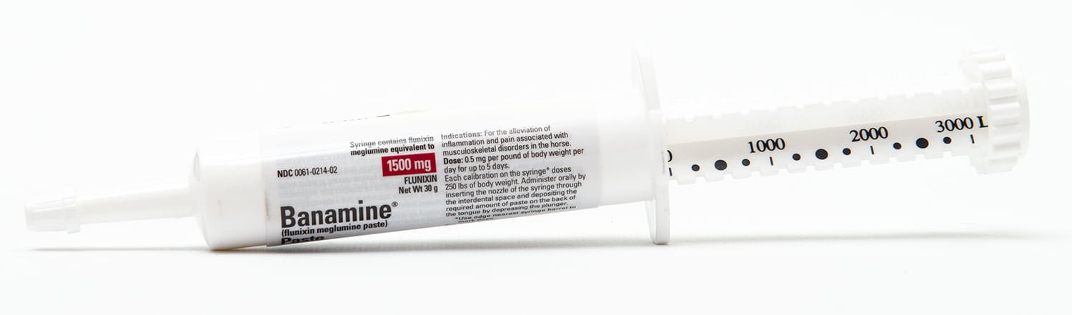 Banamine Paste for Anti-Inflammation & Pain Relief in Horses — Jeffers