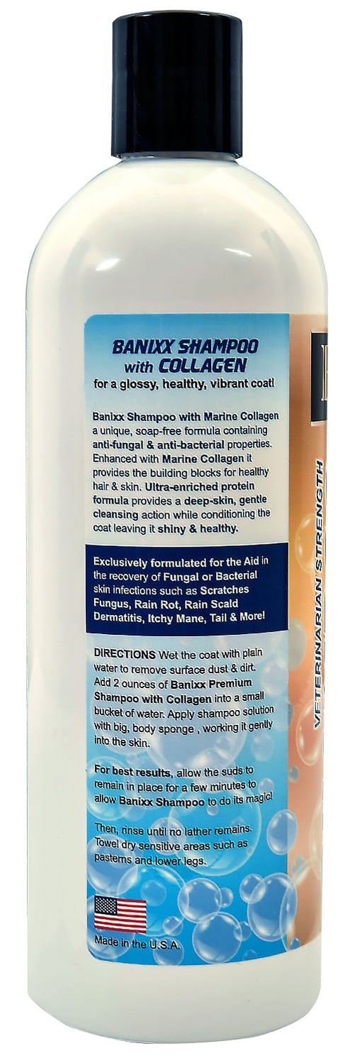 Banixx Veterinary Strength Shampoo for Dogs/ Horses, 16 oz — Jeffers