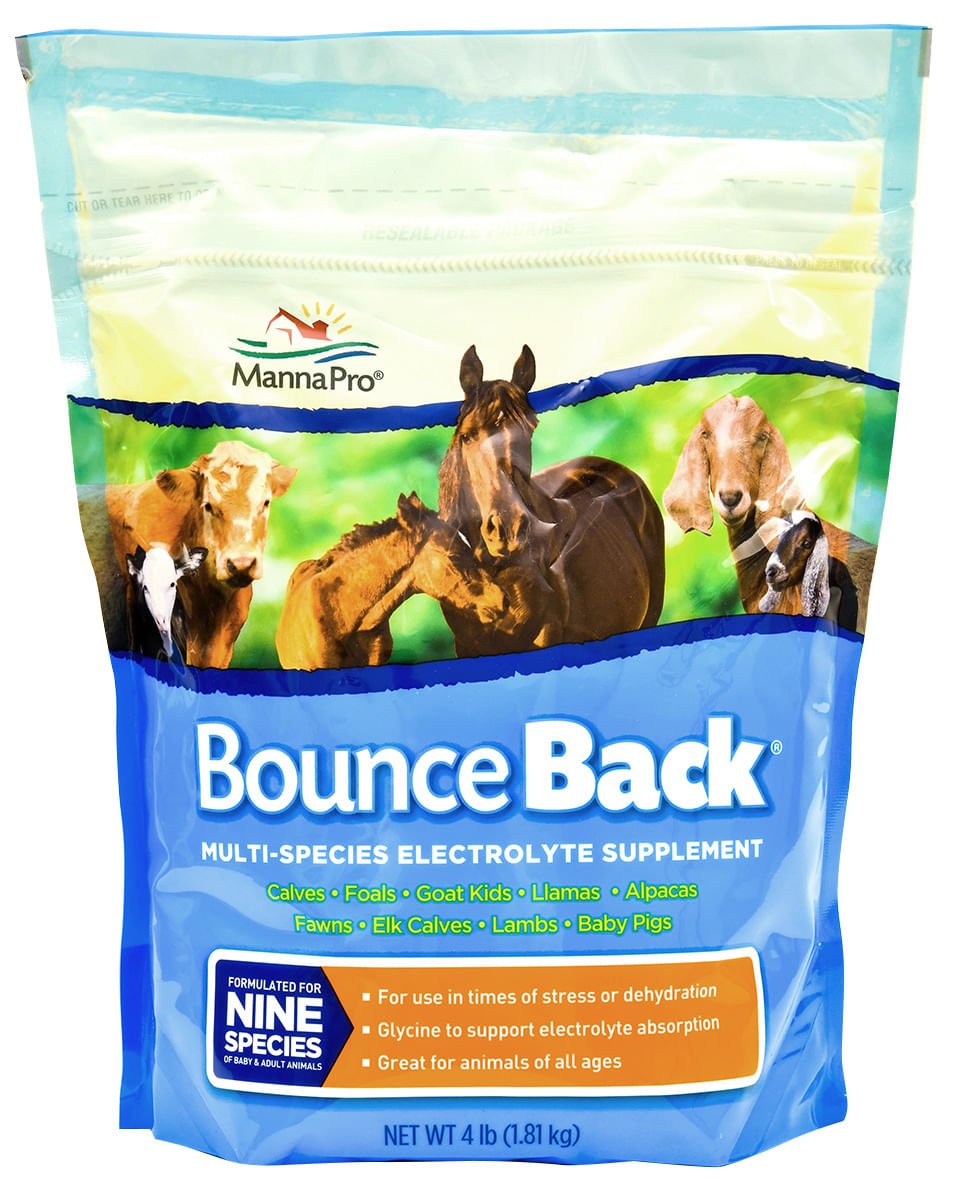 Manna Pro® Bounce Back® Multi-Species Electrolyte Suppl — Jeffers