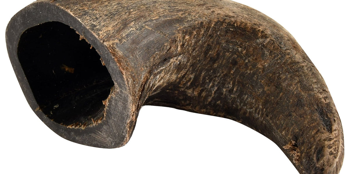 Natural Buffalo Hornz Dog Treats — Jeffers