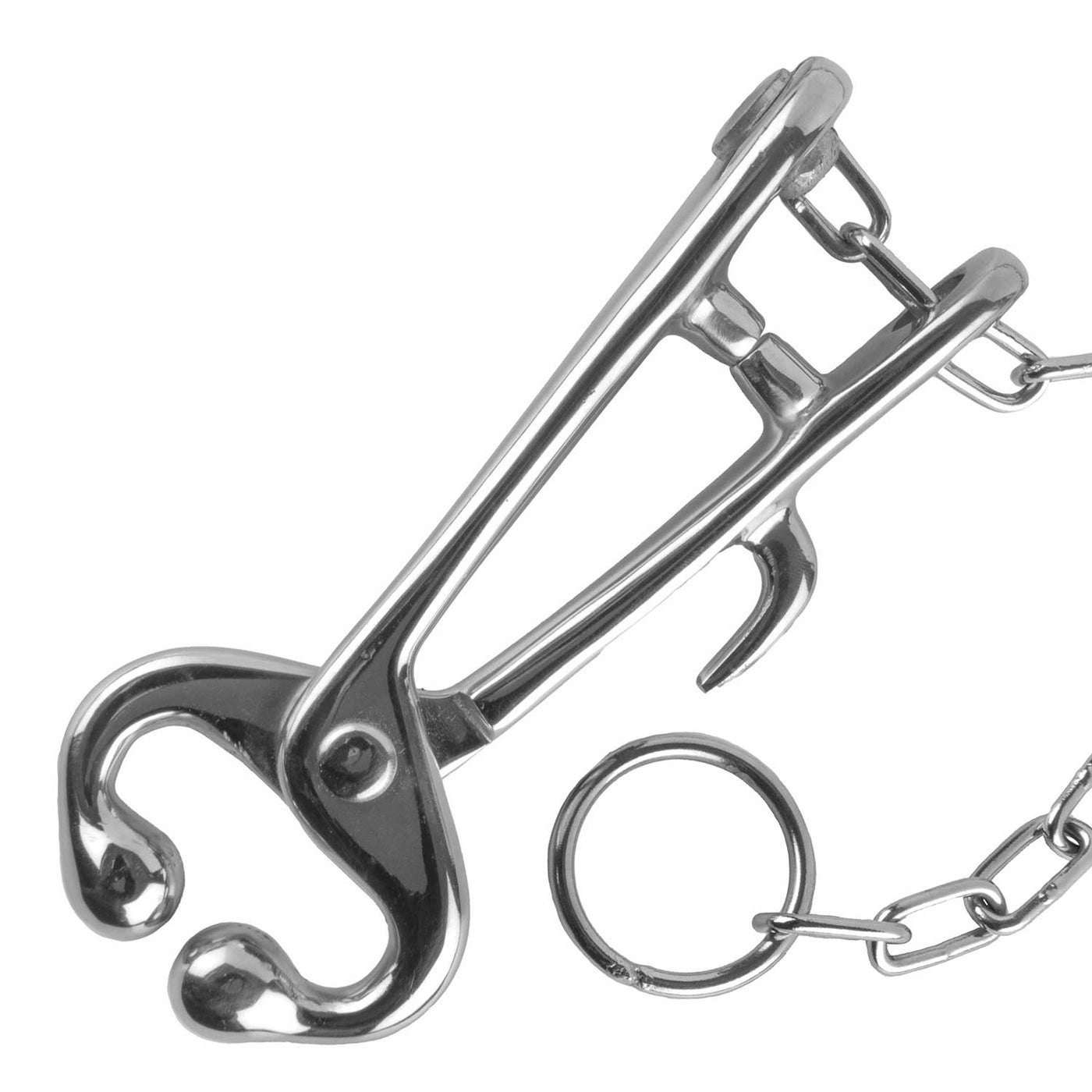 Jeffers Bull Nose Lead with Chain