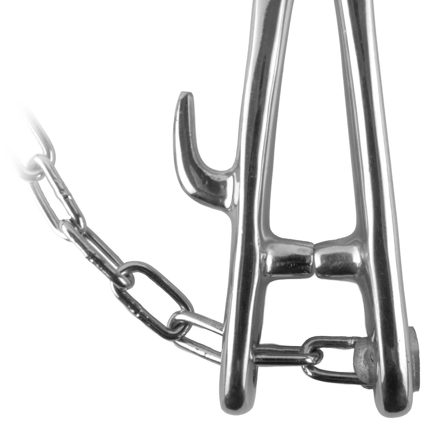 Jeffers Bull Nose Lead with Chain