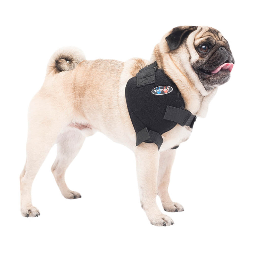 Caldera Pet Therapy Shoulder Wrap with Therapy Gel for Dogs — Jeffers