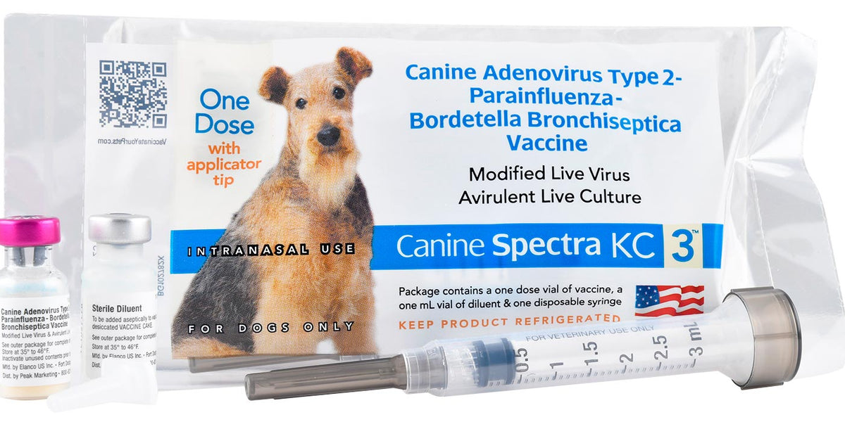 Canine Spectra KC 3 Intranasal Dog Vaccine, Single Dose — Jeffers