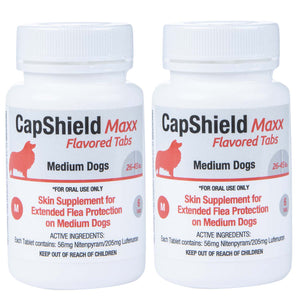 CapShield Maxx Flavored Tabs for Dogs, 6 ct — Jeffers