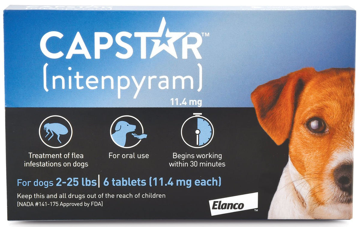 Capstar Oral Flea Treatment for Dogs and Cats — Jeffers