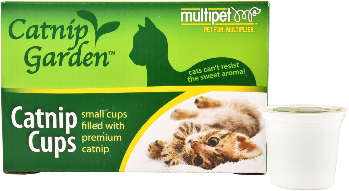 Catnip Garden catnip by Multipet — Jeffers