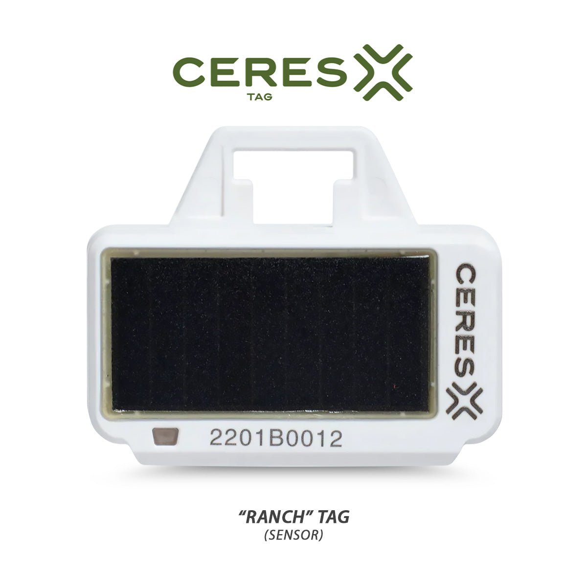 CERES RANCH PFI (Pasture Feed Intake) Identification Tags — Jeffers