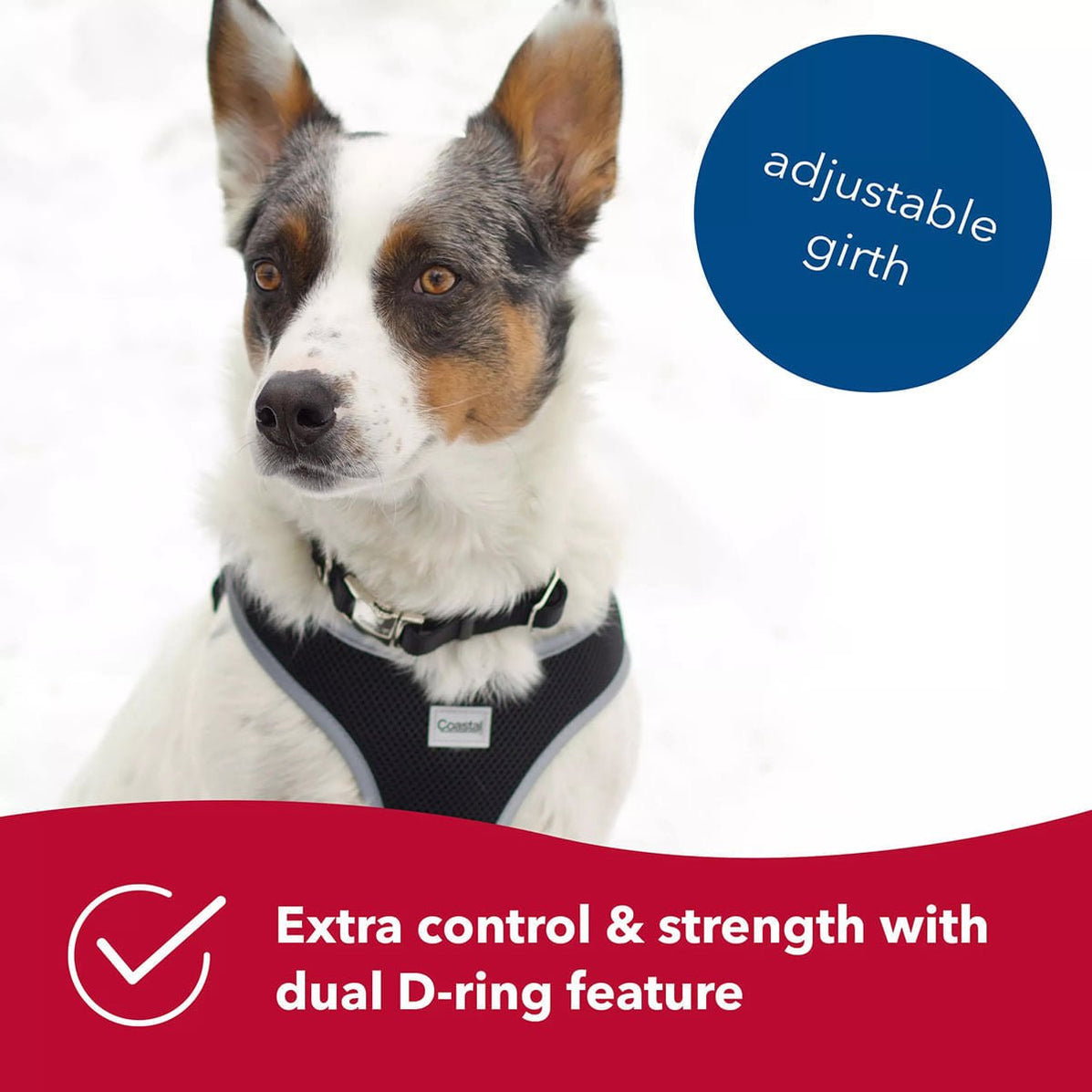 Reflective Wrap Adjustable Dog Harness by Comfort Soft — Jeffers