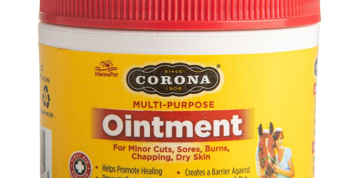 Multi-Purpose Corona Ointment for Horse Wound Care — Jeffers
