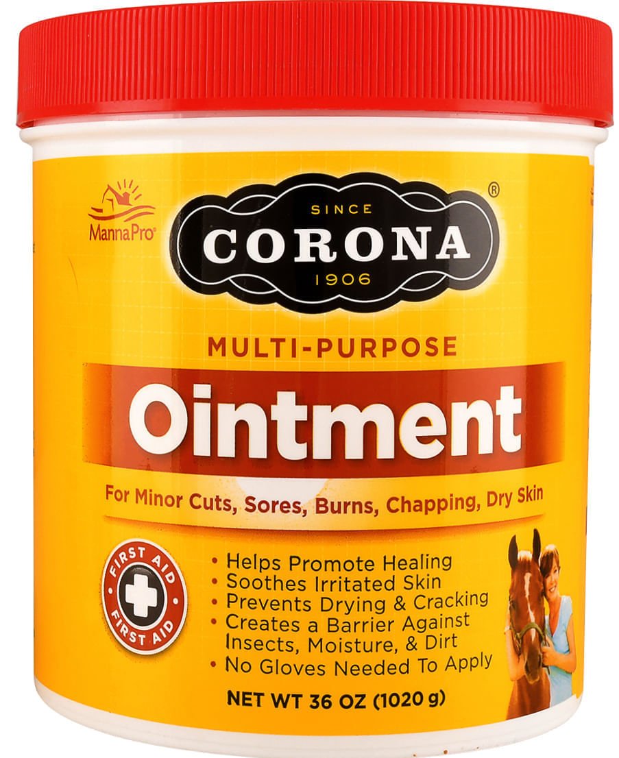 Multi-Purpose Corona Ointment for Horse Wound Care — Jeffers