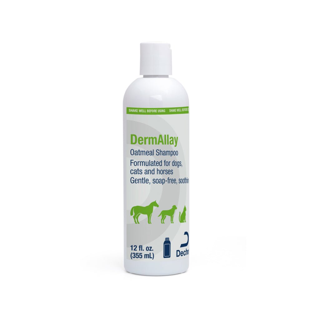 DermAllay Oatmeal Shampoo for Dogs, Cats and Horses — Jeffers