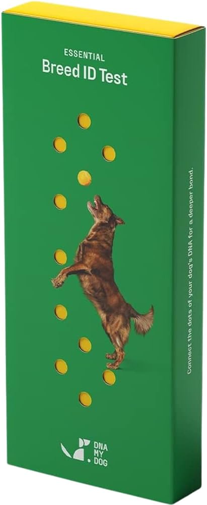 DNA My Dog Essential Breed Identification Test — Jeffers