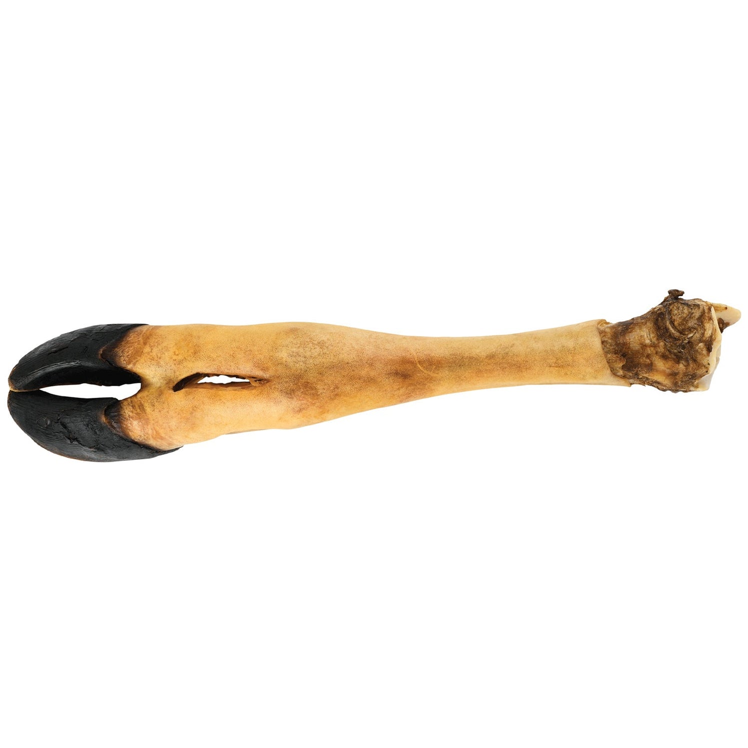 Dogginstix Dog Chews and Treats — Jeffers