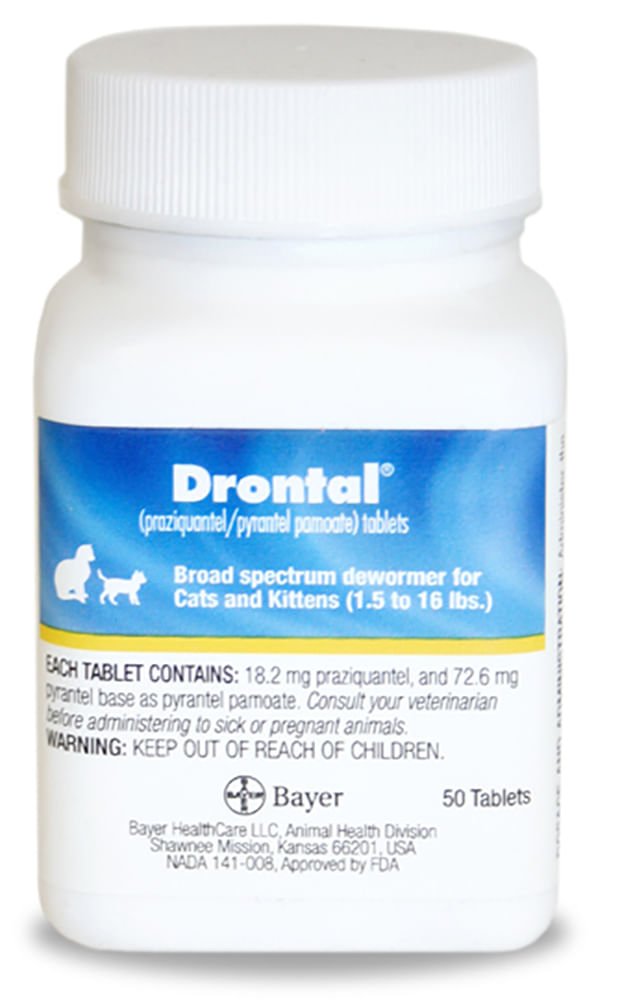 Drontal Broad Spectrum Dewormer for Cats and Kittens, 50 Tablets — Jeffers