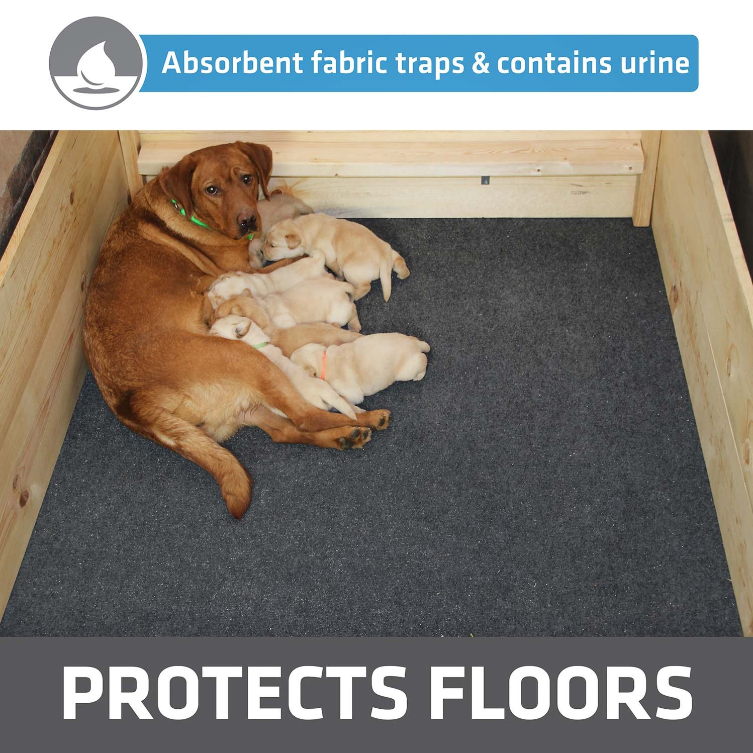 Drymate MAX Whelping Box Liner for Dogs — Jeffers