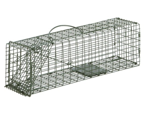 Duke Standard Cage Animal Traps for Live Animal Capture — Jeffers