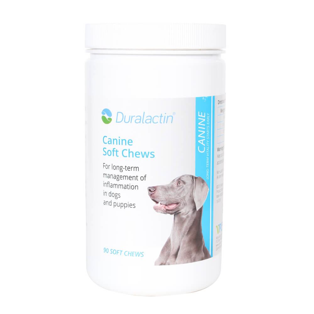 Duralactin Canine Soft Chews Dog Supplement 90 ct — Jeffers