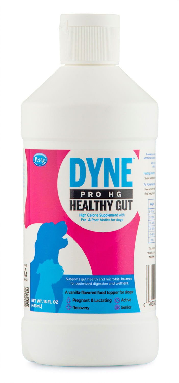 Dyne PRO HG Healthy Gut High Calorie Supplement for Dogs — Jeffers