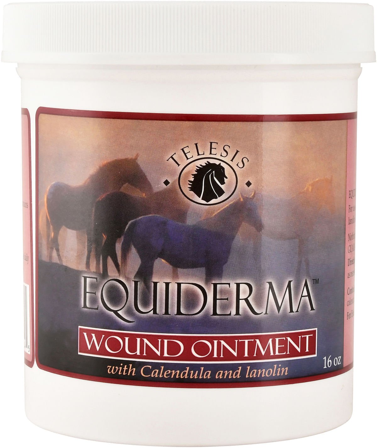 Equiderma Wound Ointment with Calendula for Horses — Jeffers