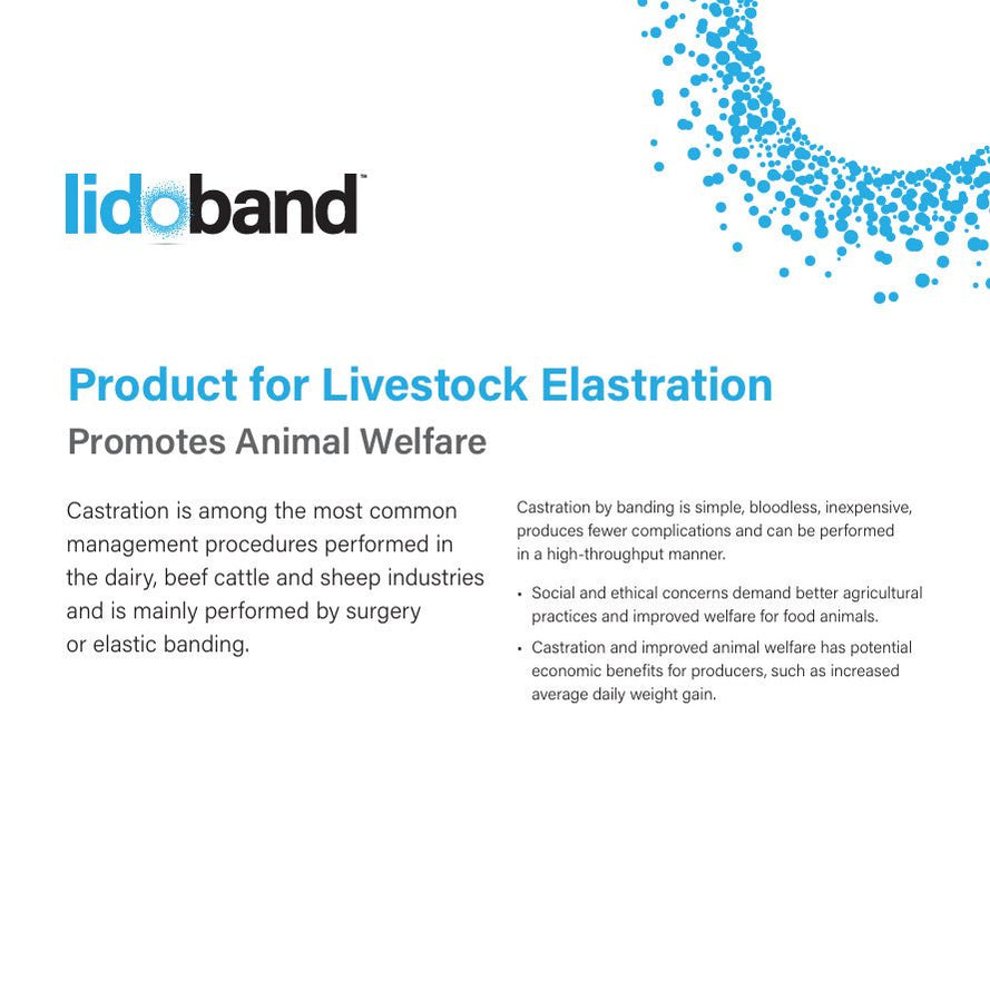 XL Bander with Lidoband XL Lidocaine Castration Bands for Cattle, 25 ct ...