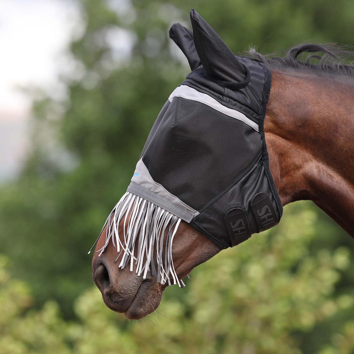 Flyguard Pro Fine Mesh Fly Mask with Ears & Nose Fringe, Black ...