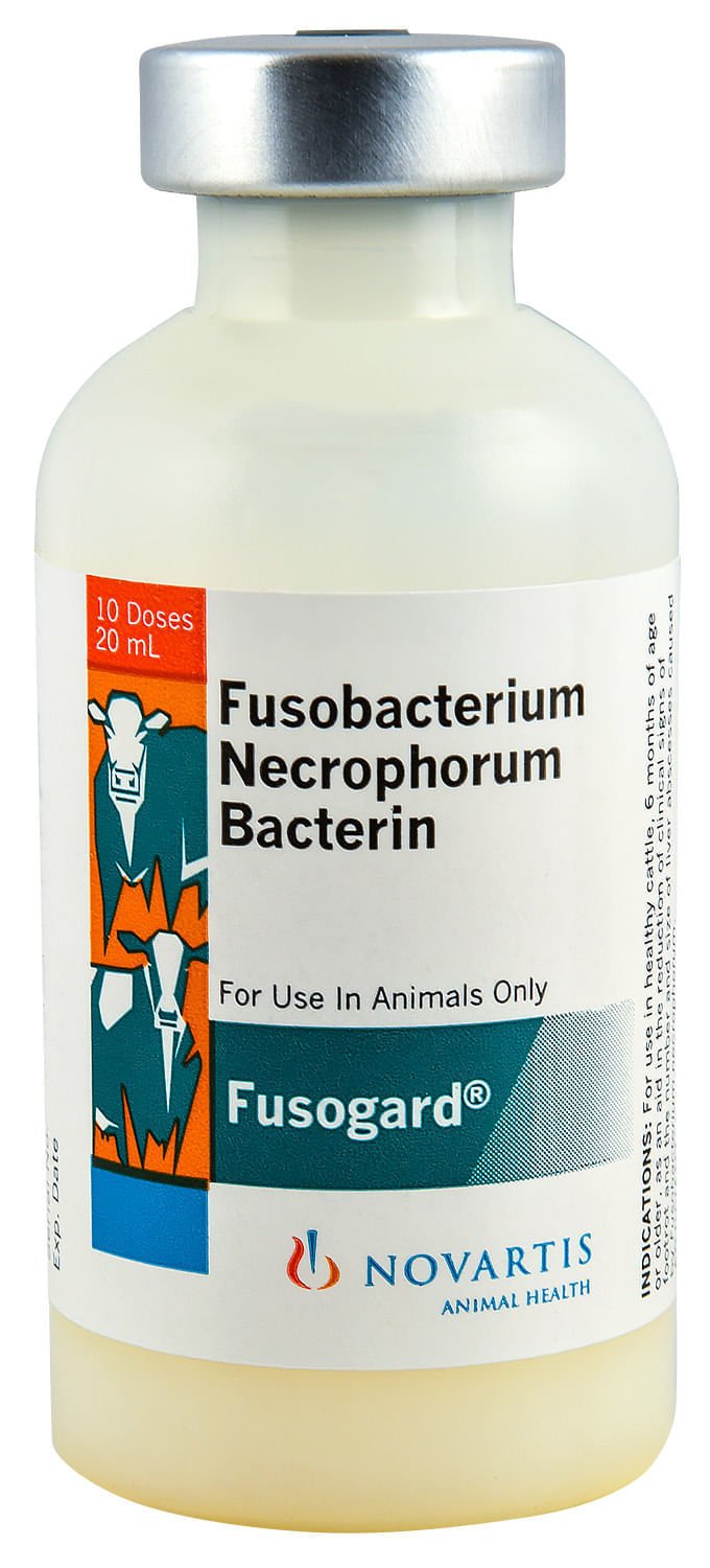 Fusogard Cattle Vaccine for Foot Rot Protection — Jeffers