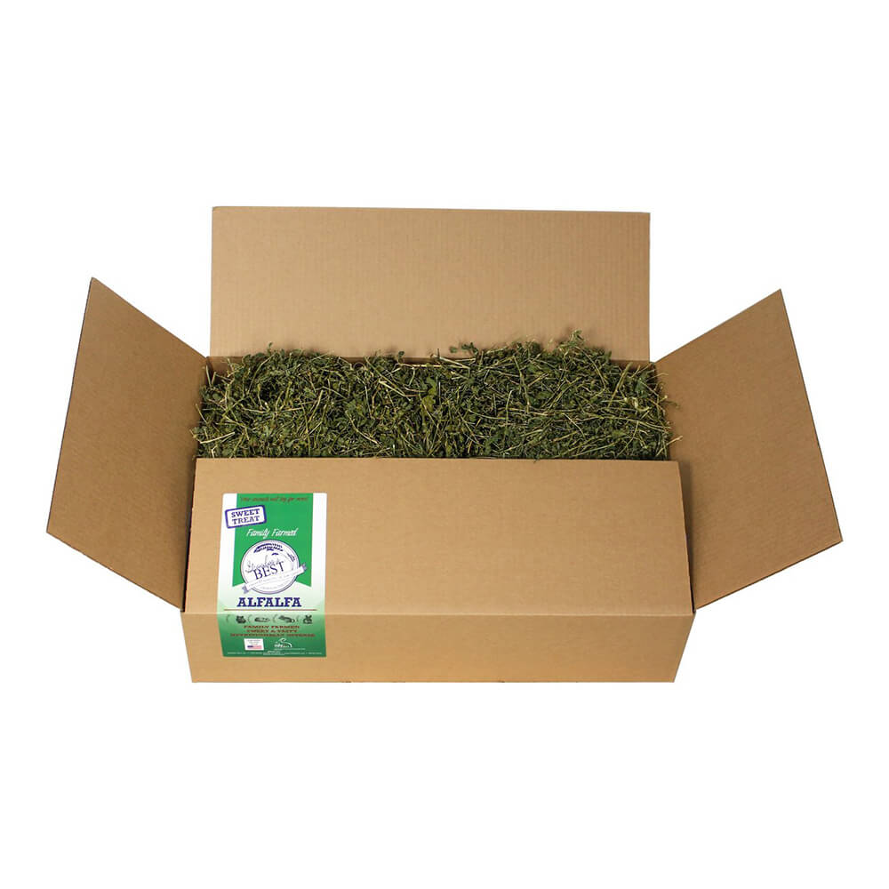 Grandpa's Best Alfalfa Loose Boxed Hay for Rabbits — Jeffers