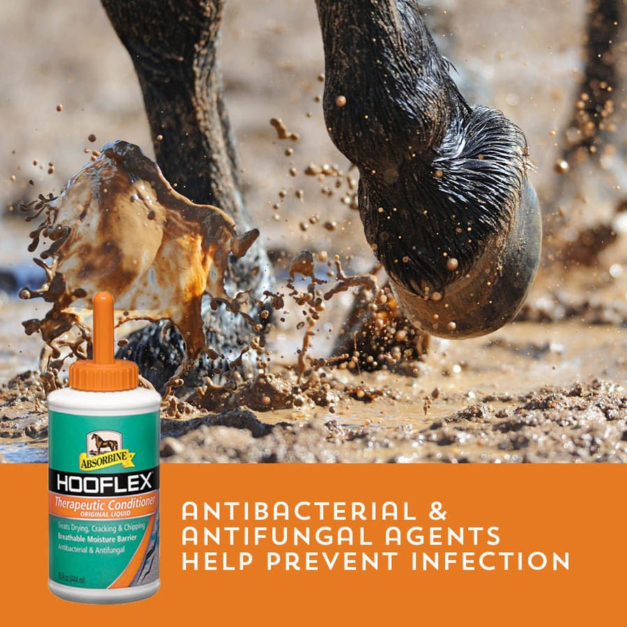 Hooflex® Therapeutic Horse Hoof Conditioner — Jeffers