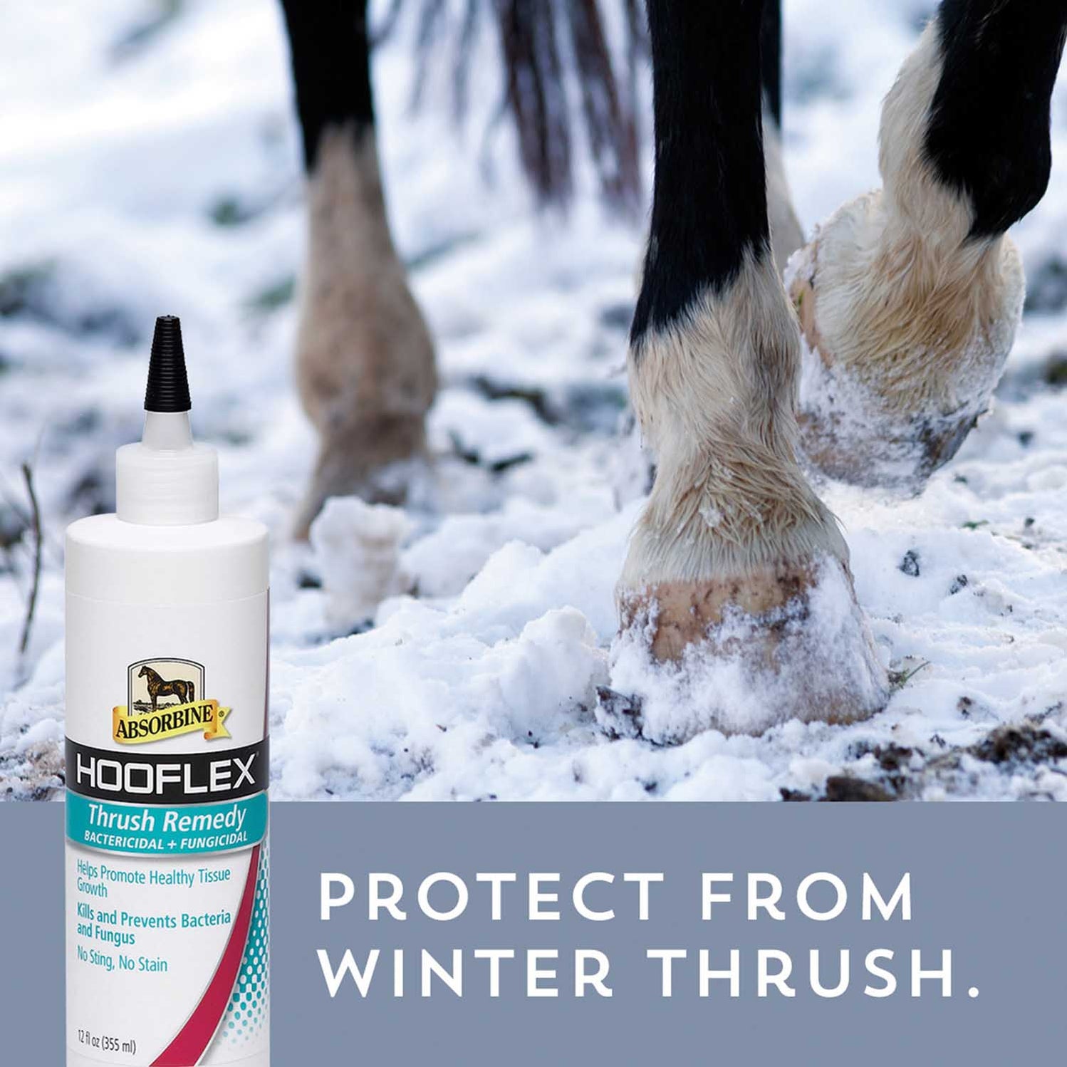 Hooflex Thrush Remedy for Hoof Care, 12 oz — Jeffers