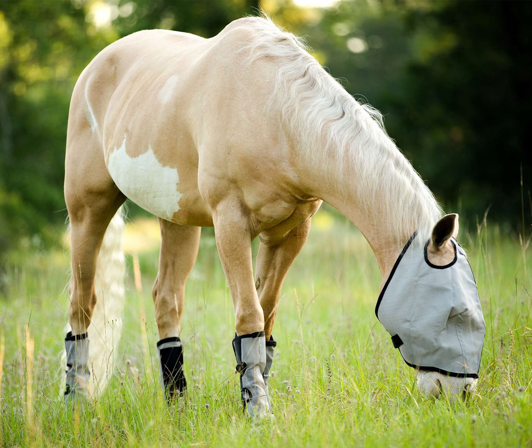 Horse Sense Fly Leg Wraps (Pair) — Jeffers