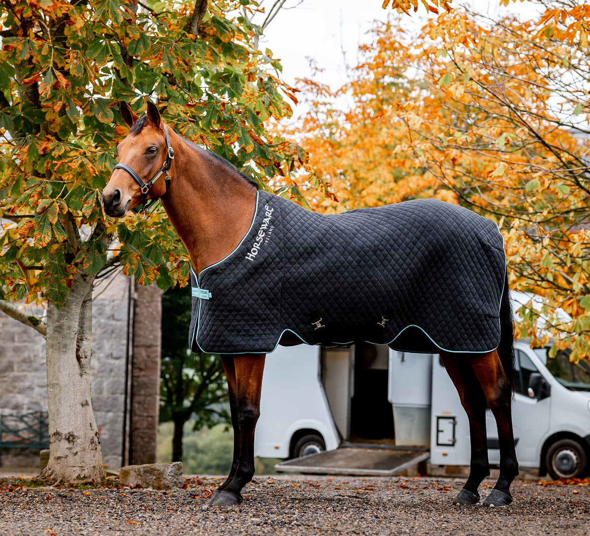 Autumn Cooler, Black/Aqua by Horseware — Jeffers