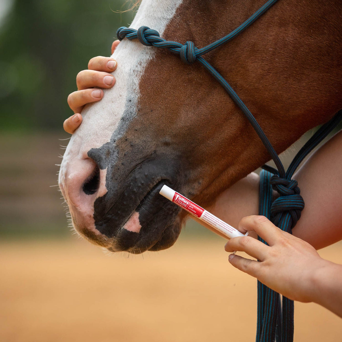 Ivermectin Gel Horse Dewormer Paste, Apple, Single Dose — Jeffers