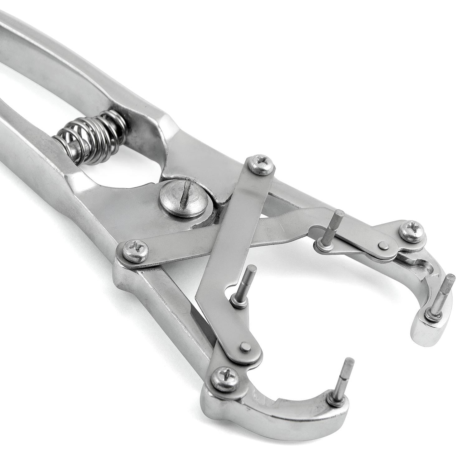 Jeffers Band Castration Tool for Cattle & Livestock