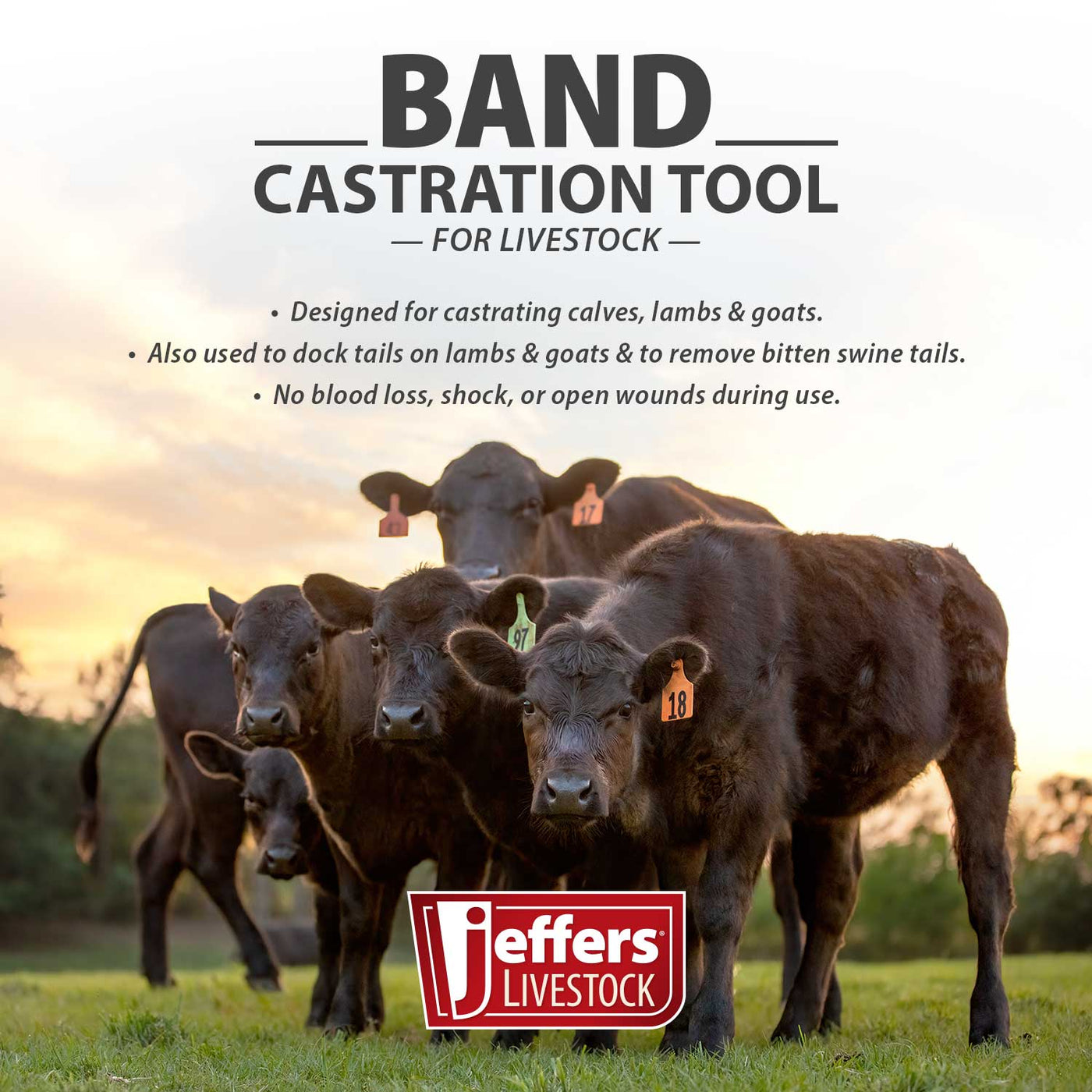 Jeffers Band Castration Tool for Cattle & Livestock