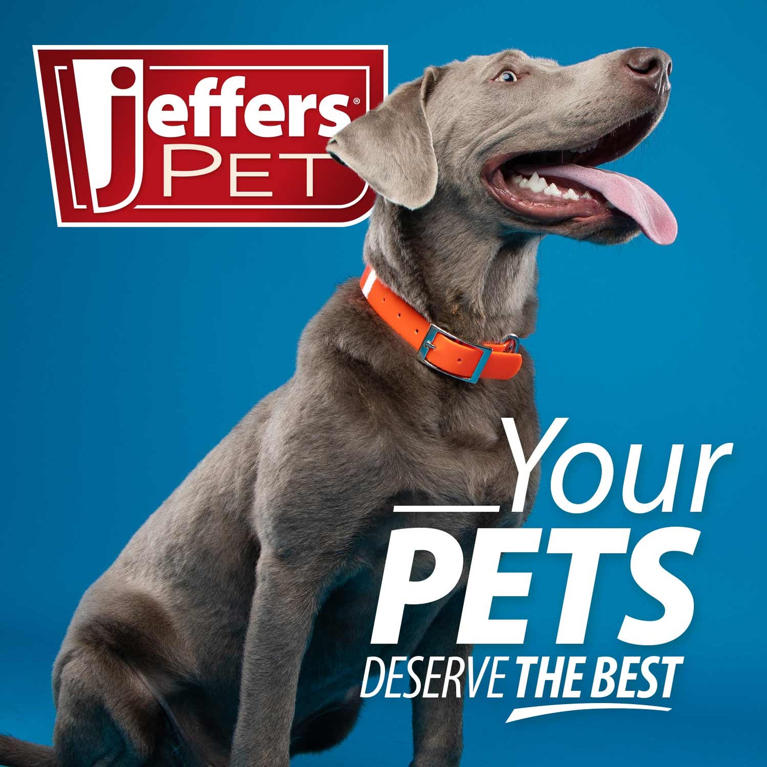 Jeffers Worm Buster Dog Dewormer Flavored Tablets, 12 count