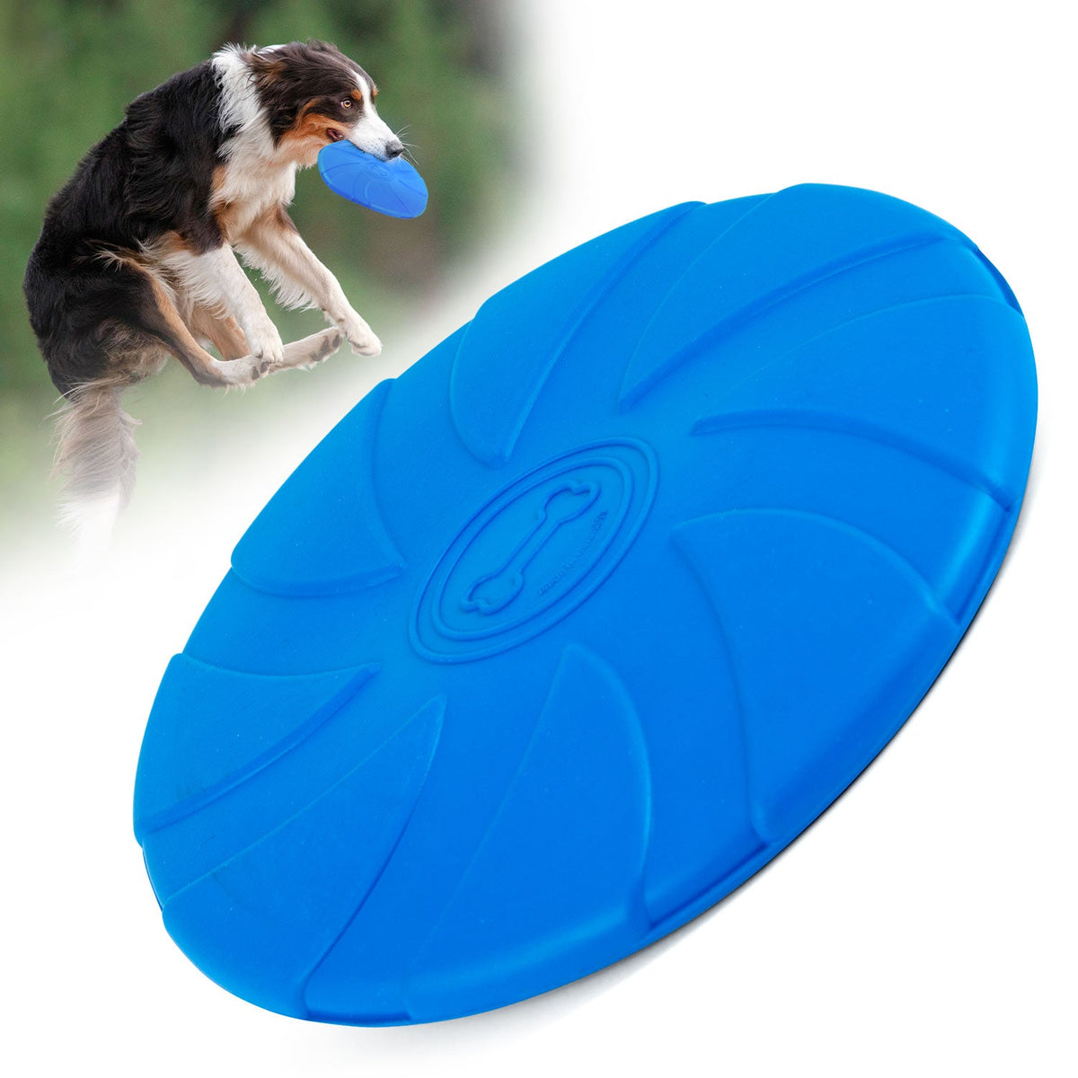 Jeffers Blue Bone Stamp Frisbee Toy for Dogs