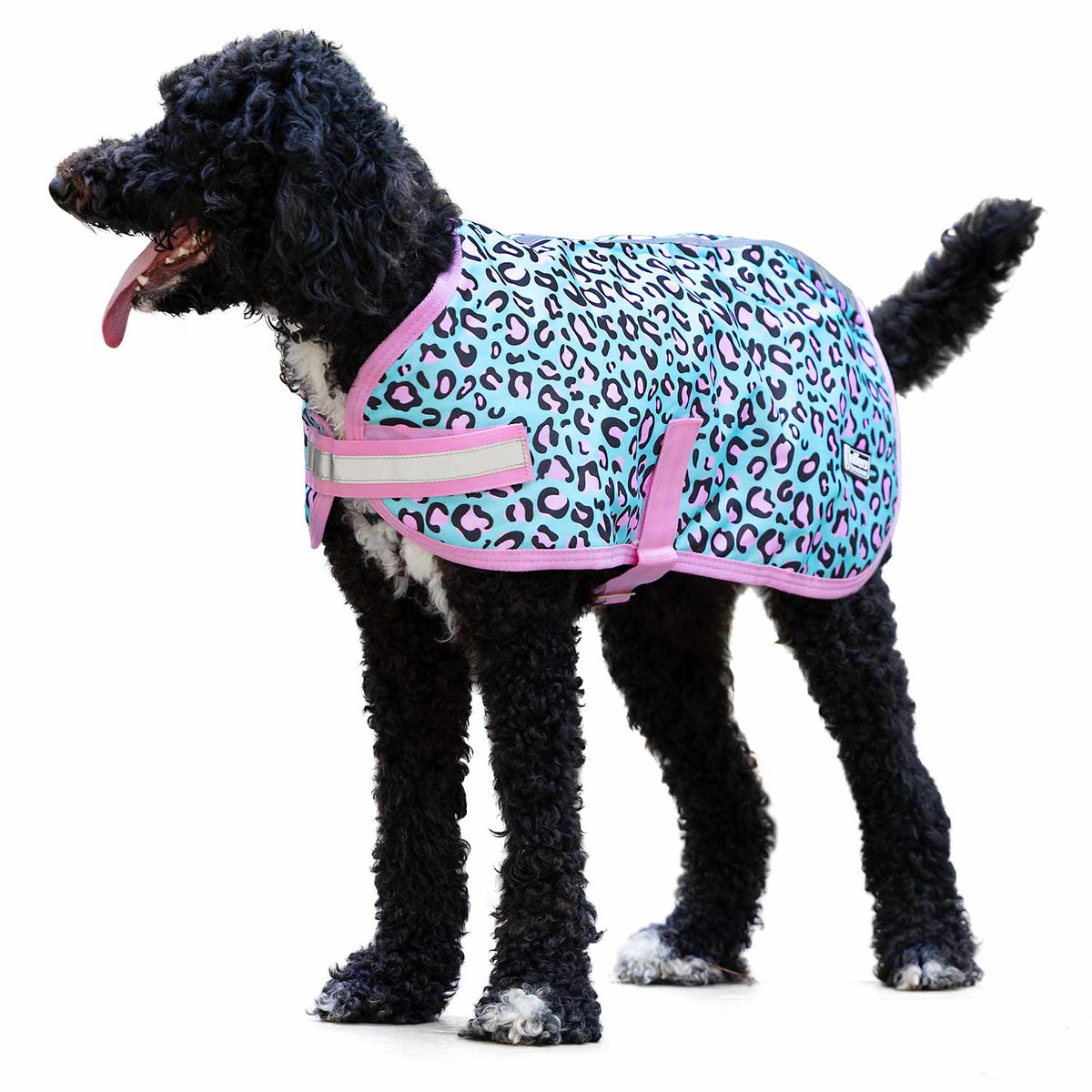 Jeffers Expression Dog Coat, Party Cheetah