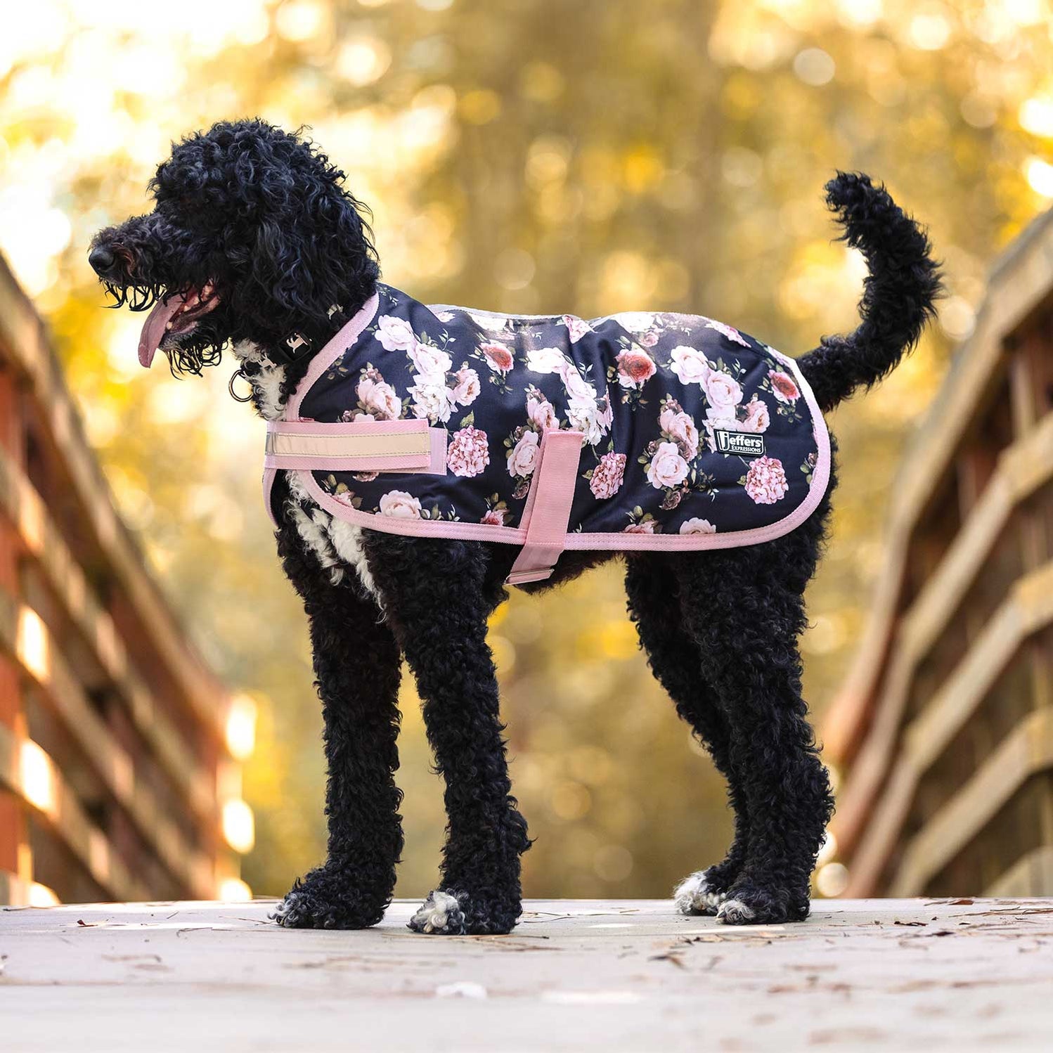 Jeffers Expression Dog Coat, Party Cheetah