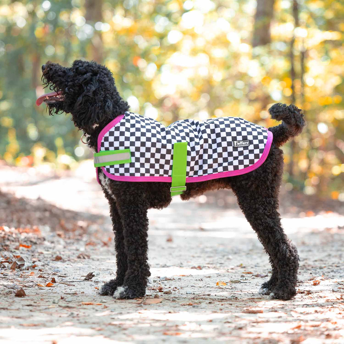Jeffers Expression Dog Coat, Party Cheetah