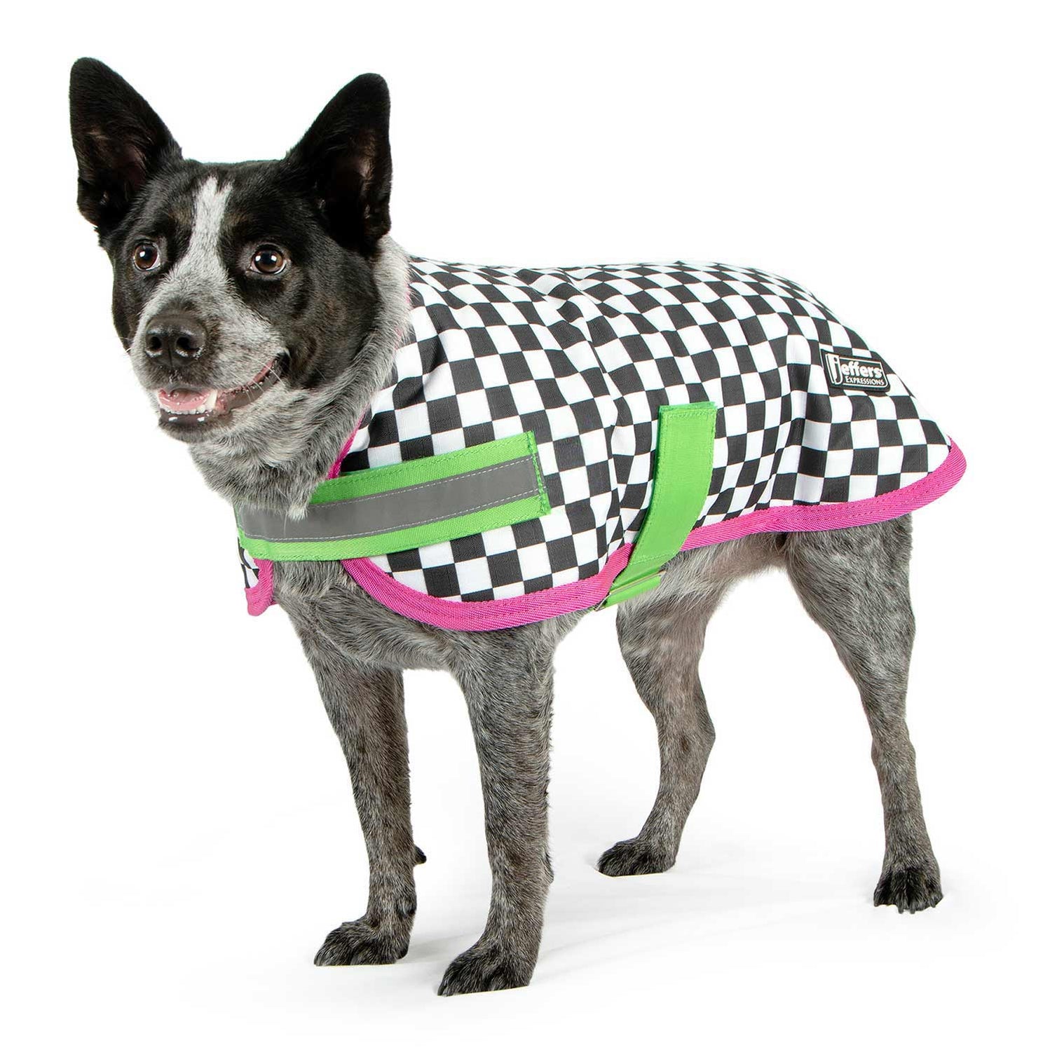 Jeffers Expression Dog Coat, Party Cheetah