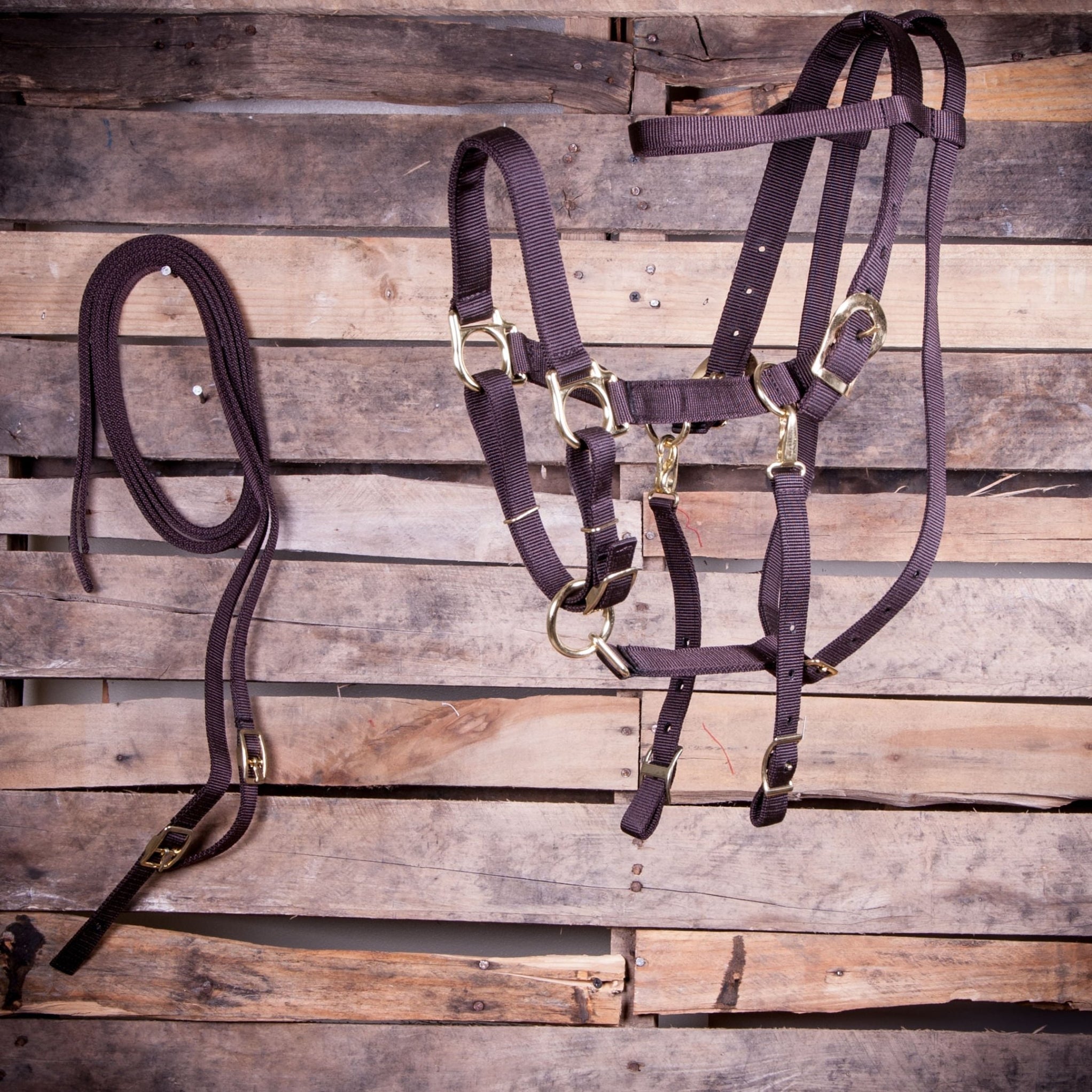 Jeffers Horse Bridle & Halter Poly Combo with Reins