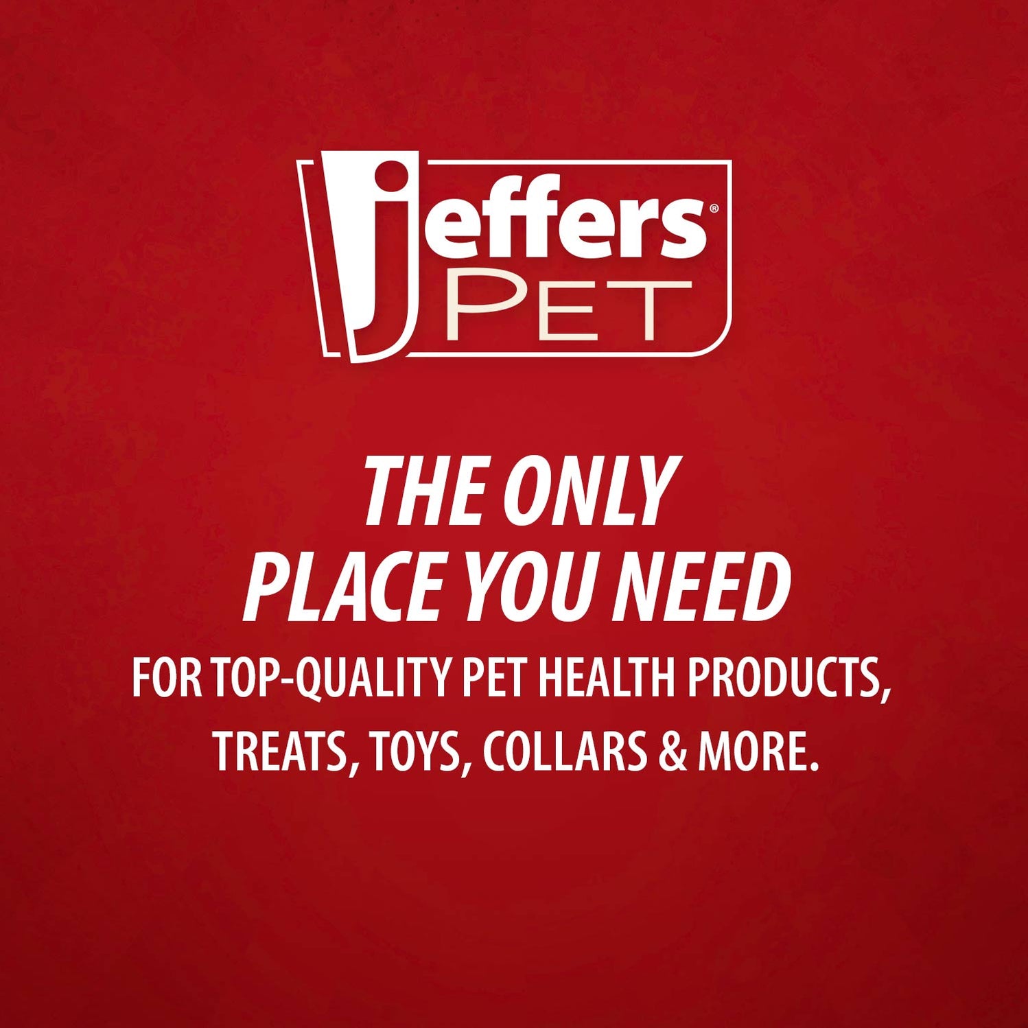6" Round Plush Christmas Dog Toys with Squeakers — Jeffers