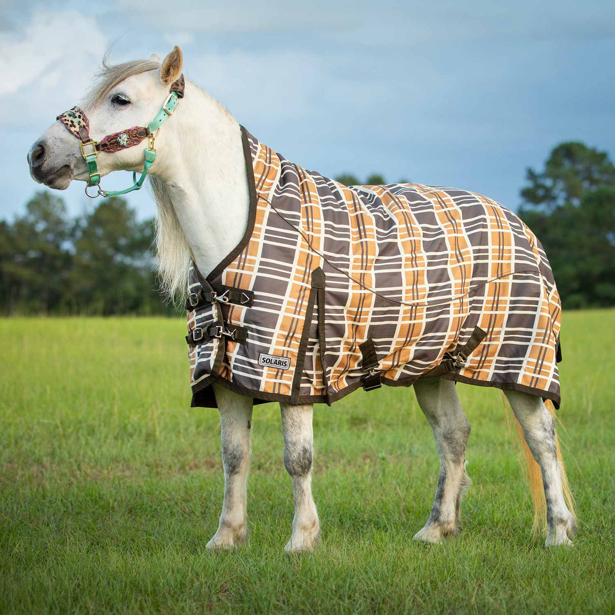 Jeffers Pony Poppins Solaris Extended Neck Turnout Blanket, 1200 D